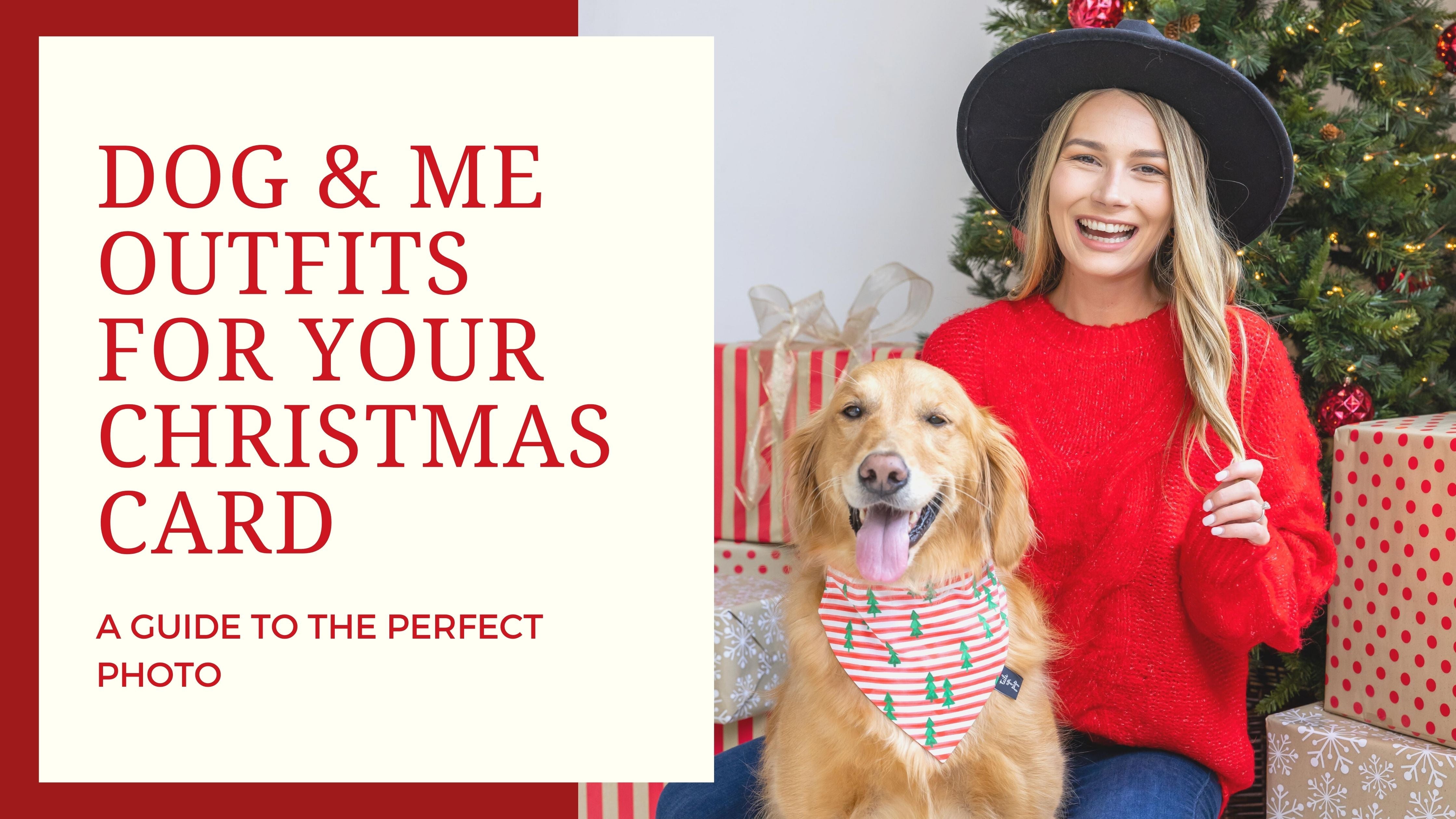Dog Christmas Card Ideas