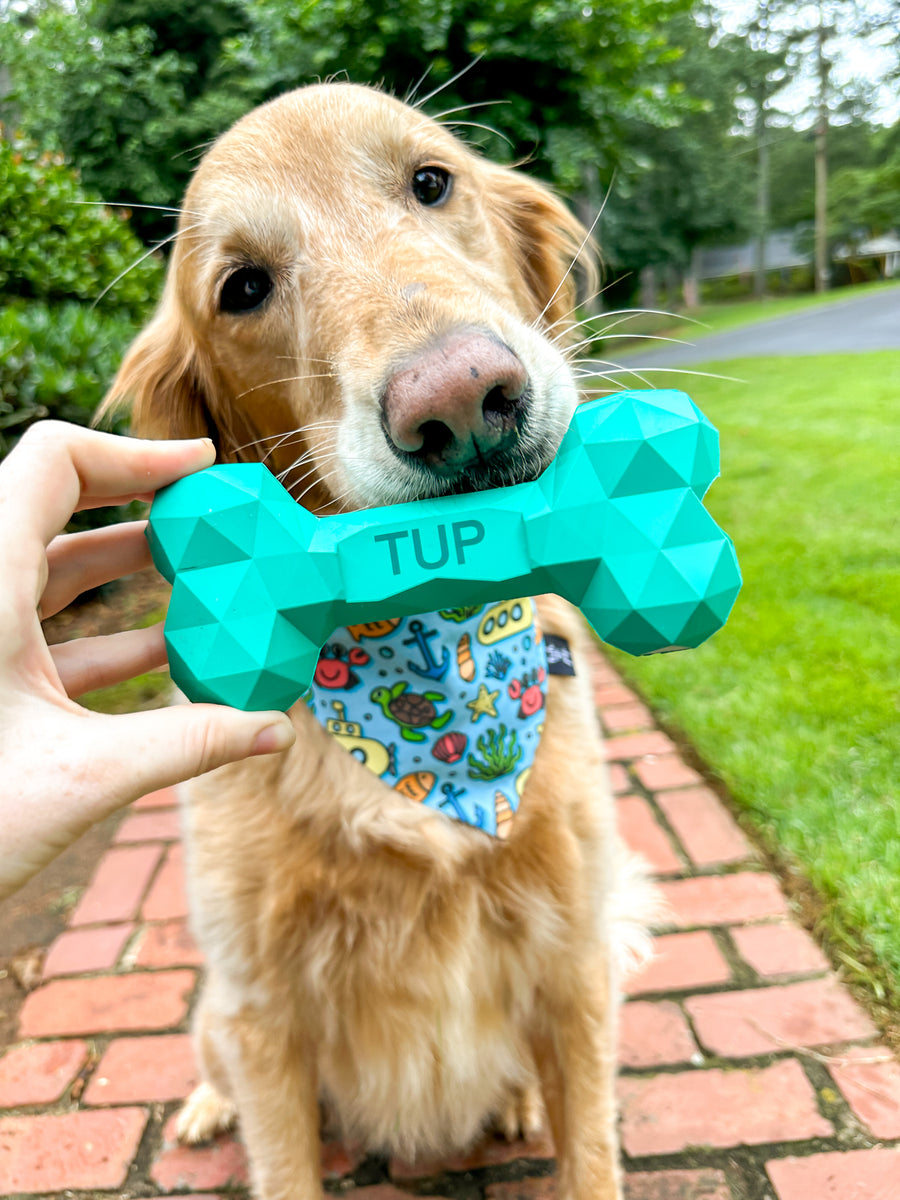 Durable TUP Dog Bone - Aqua – Tails Up, Pup