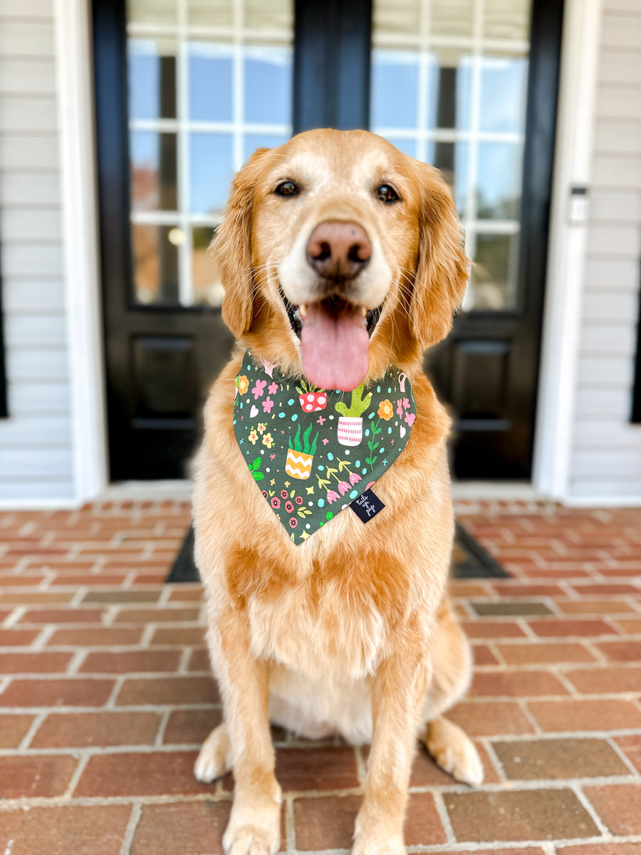 Enchanted Greenhouse Dog Bandana - TUP x Diana McDermott – Tails Up, Pup