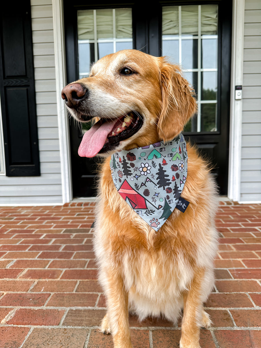 Camper's Delight Dog Bandana - TUP x Glacier Made – Tails Up, Pup