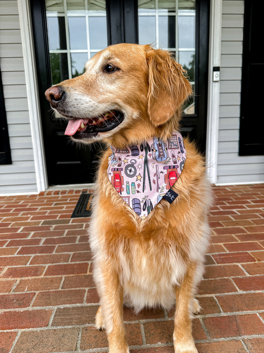 Hiker's Essentials Dog Bandana - TUP x Glacier Made – Tails Up, Pup