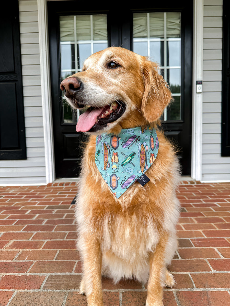 Raftin' and Rollin' Dog Bandana - TUP x Glacier Made – Tails Up, Pup
