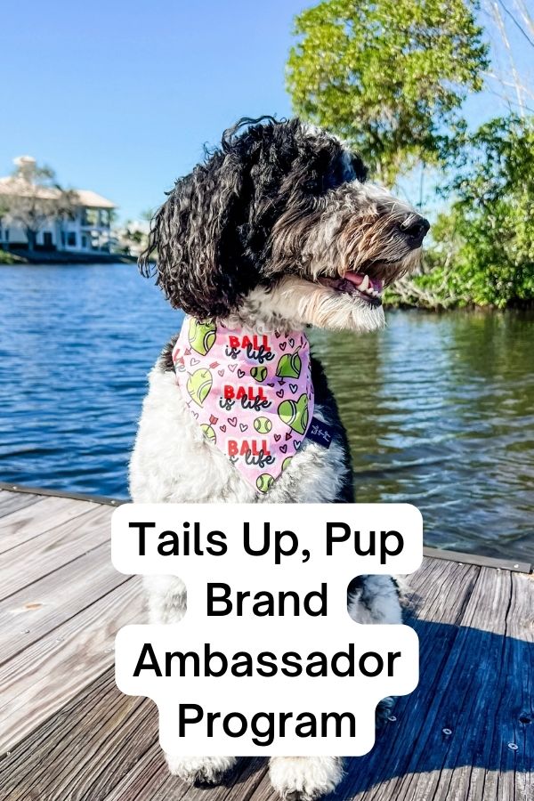 Tails Up, Pup Brand Ambassador Program