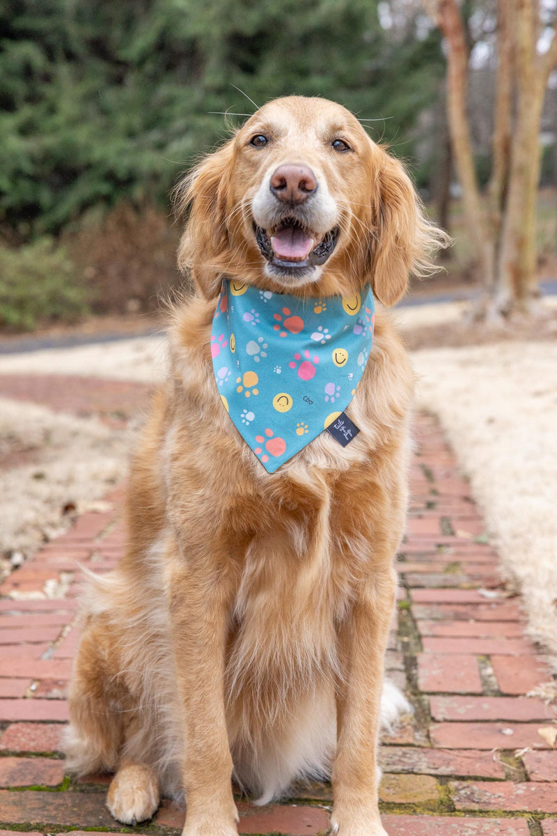 Smiles & Paws Dog Bandana TUP x Callie Danielle – Tails Up, Pup