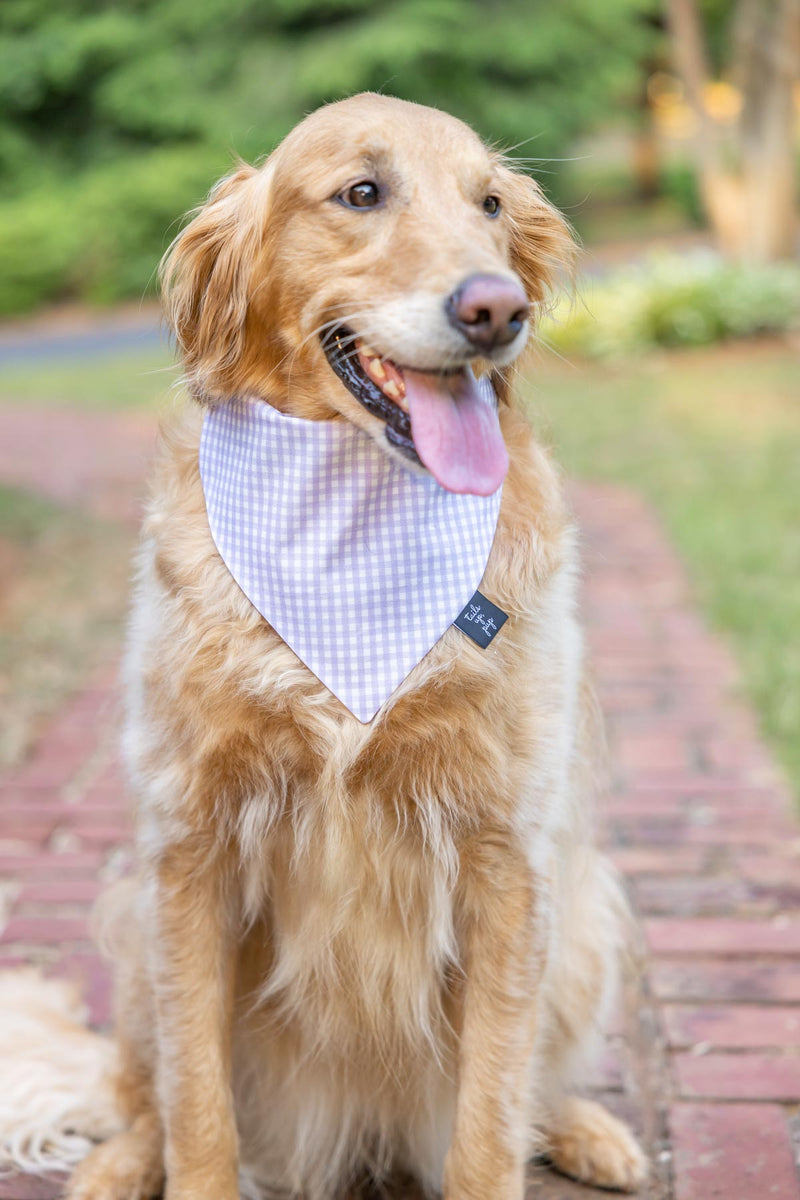 Periwinkle Plaid Dog Bandana – Tails Up, Pup
