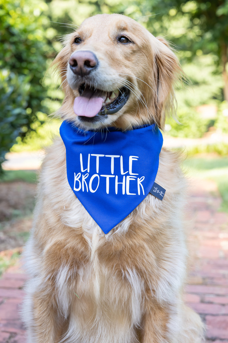 Little Brother Dog Bandana – Tails Up, Pup